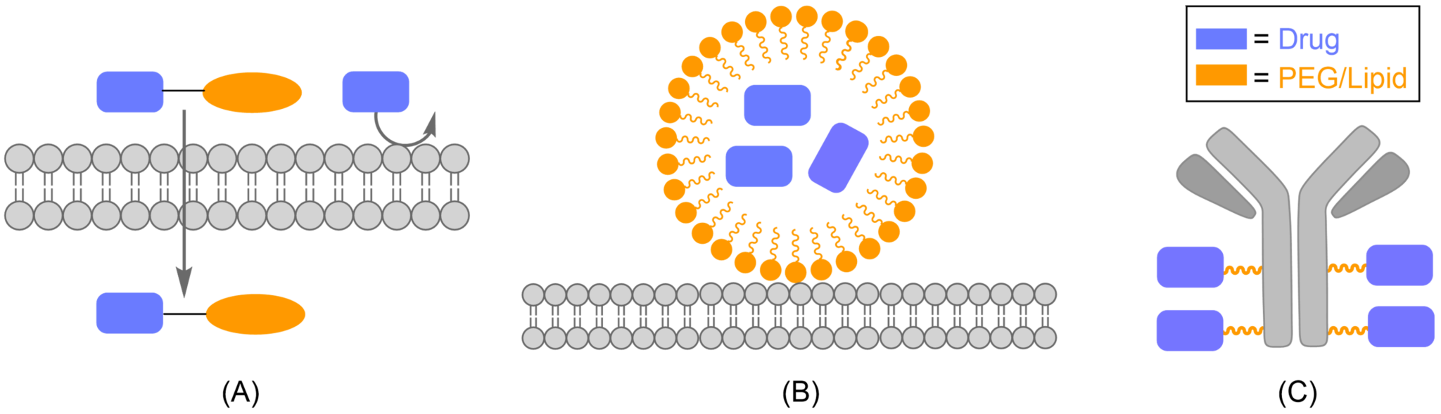 PEGs and Lipids | Veranova