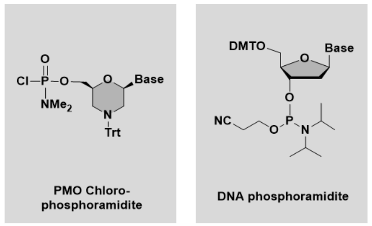 Nucleotides and Oligonucleotides | Veranova